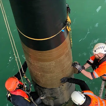 DENSO™ MARINE PILING TAPE - In-Situ Group of Companies (516215-H)